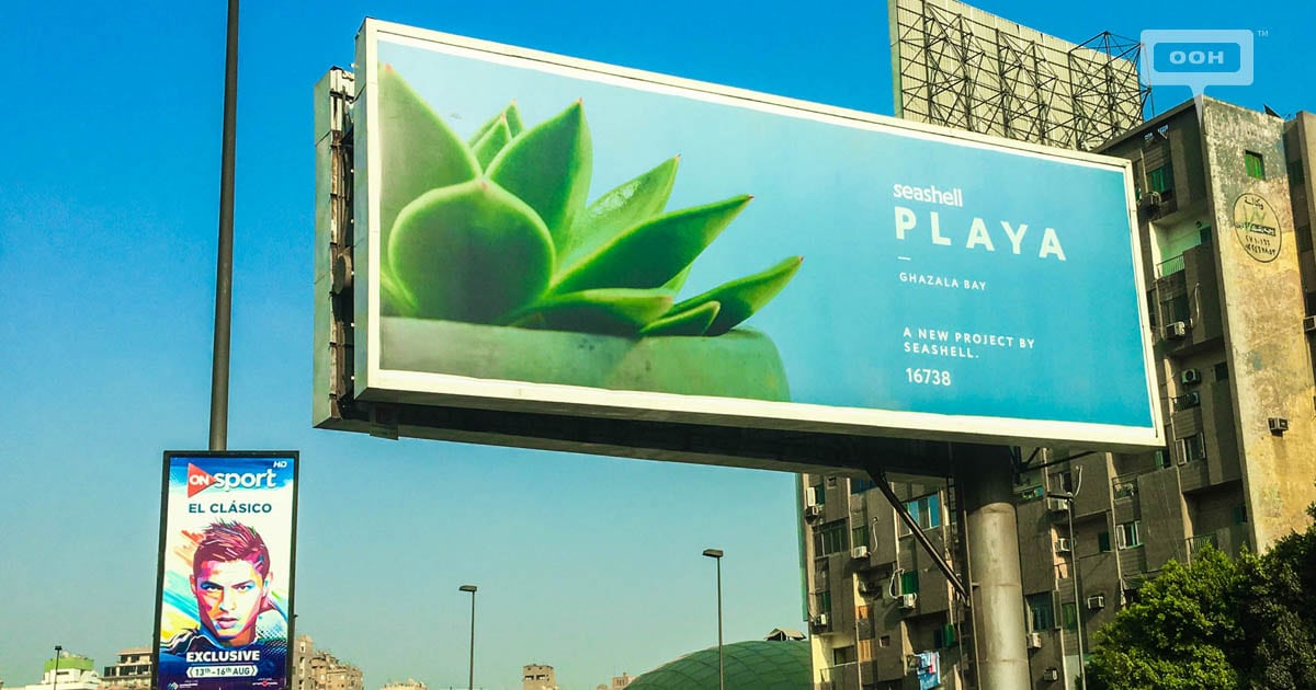 Seashell launches Playa in Ghazala Bay - INSITE OOH Media Platform